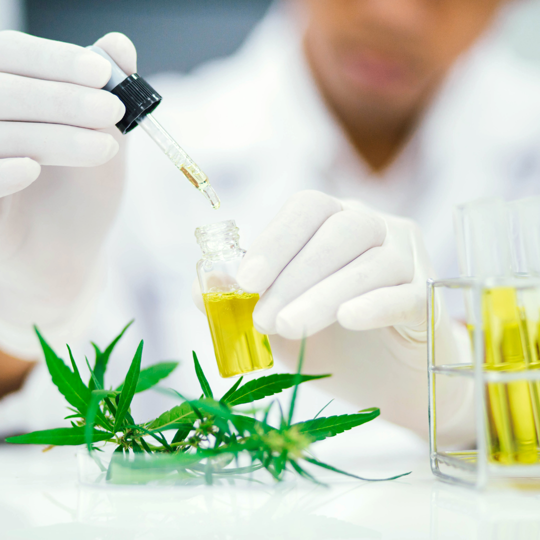 Science Behind CBD - BC Organics